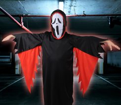 Las Fiestas - Feestwinkel - Carnavalwinkel - Carnavalskleding ...